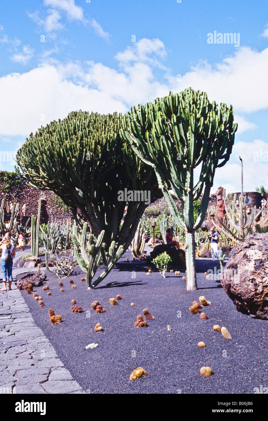Jardin de Cactus Stock Photo - Alamy