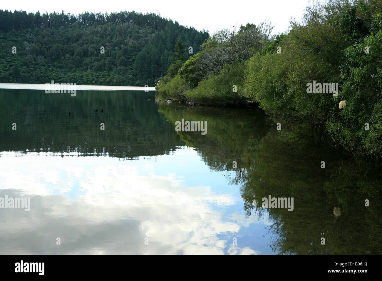Lake Rotokakahi High Resolution Stock Photography and Images - Alamy