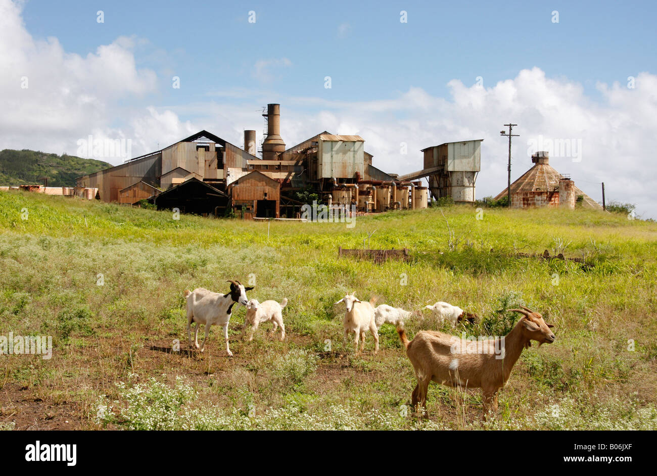 Abandoned Sugar Mill on Kauai in the Hawaiian Islands is the result of ...