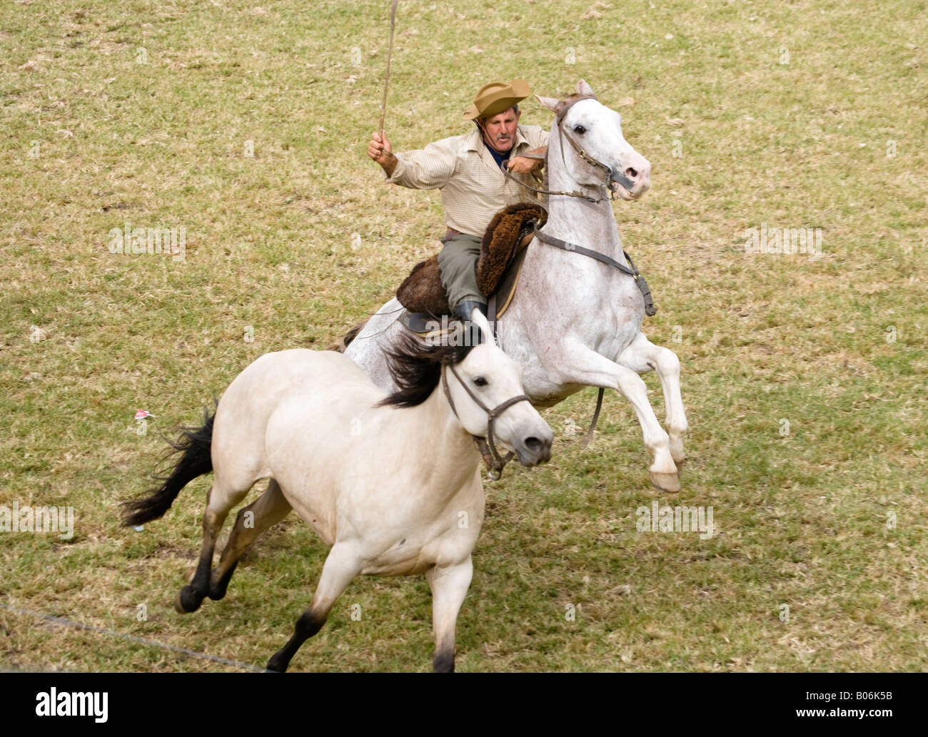 cow-boy cowboy rider riding free freedom lonely Stock Photo - Alamy