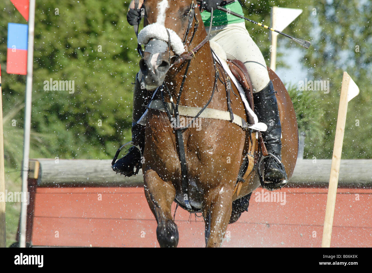 Animal power hi-res stock photography and images - Alamy