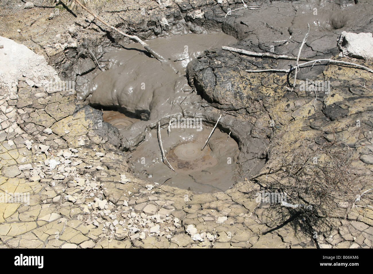 Kuirau park thermal springs and hot mud pools Rotorua North Island New ...