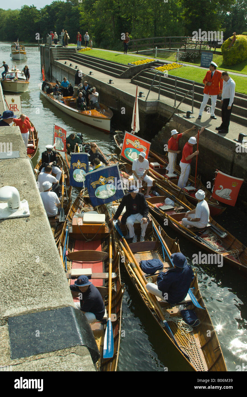 Cookham berkshire swan upping hi-res stock photography and images - Alamy
