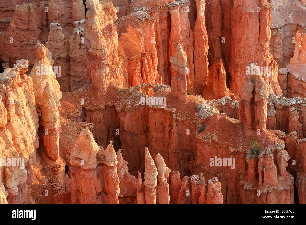 Hoodoos in Bryce Canyon National Park Utah Stock Photo - Alamy