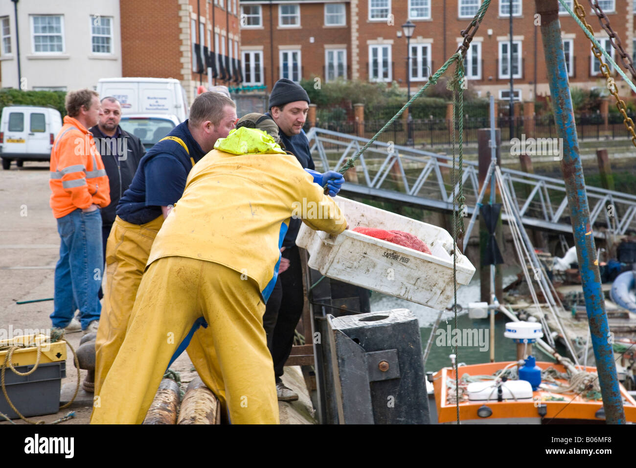 Fishermen unload the day's catch of shellfish in Camber Dock ...
