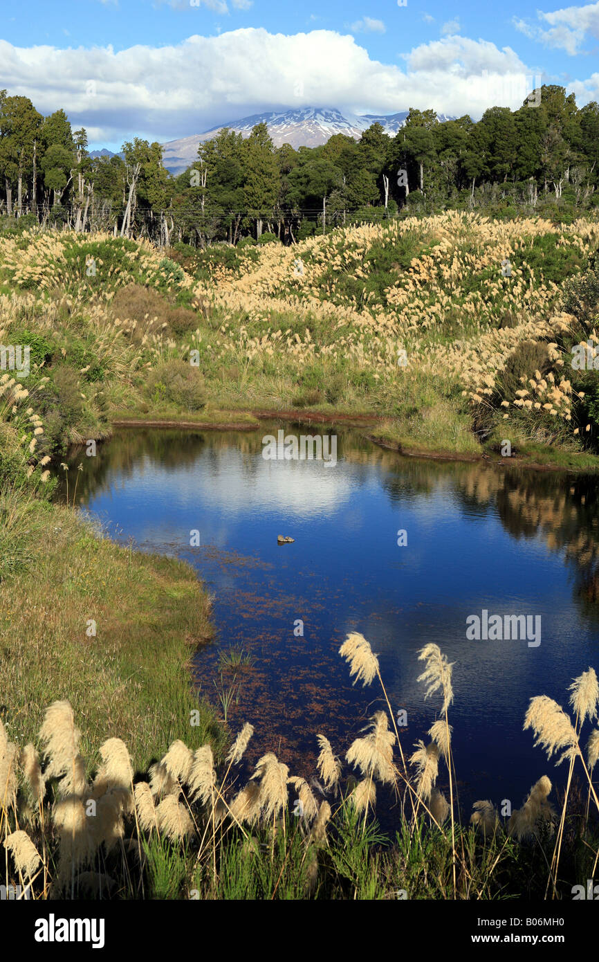 Pond in Tongariro National Park Stock Photo - Alamy
