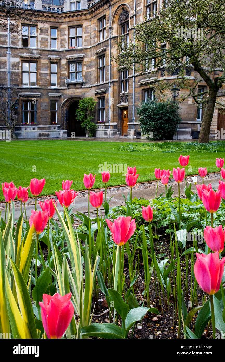 College quad cambridge hi-res stock photography and images - Alamy