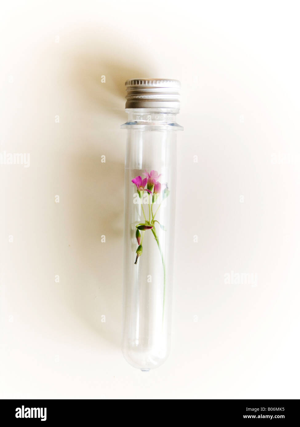 Genetic research biotech science concept hi-res stock photography and ...