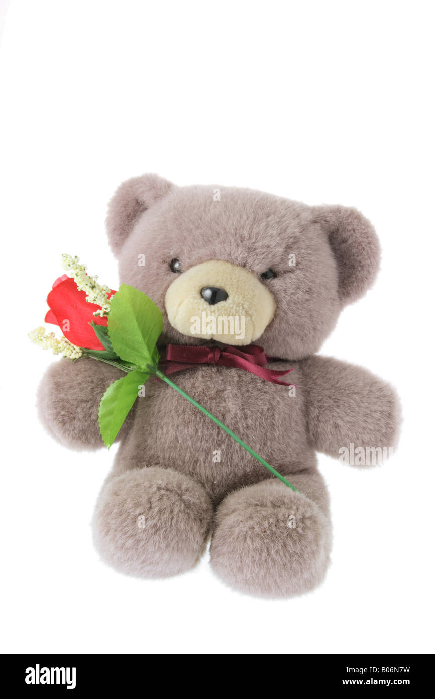 Teddy Bear with Red Rose Stock Photo - Alamy