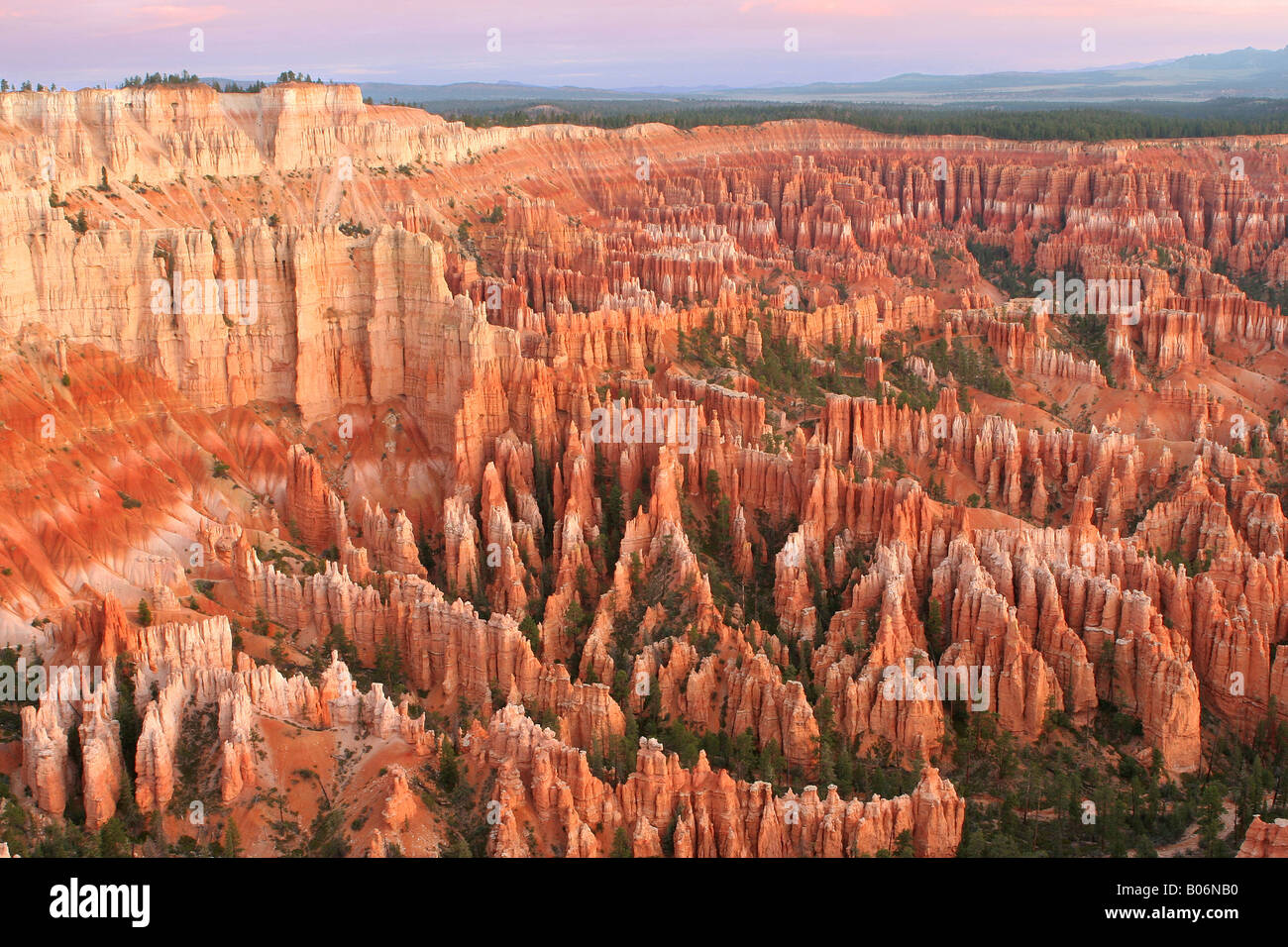 Hoodoos in Bryce Canyon National Park Utah Stock Photo - Alamy