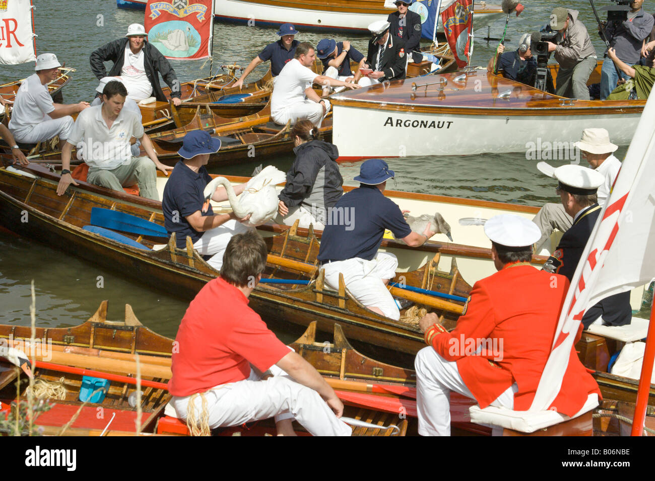 Swan upping on the River Thames at Cookham Stock Photo - Alamy