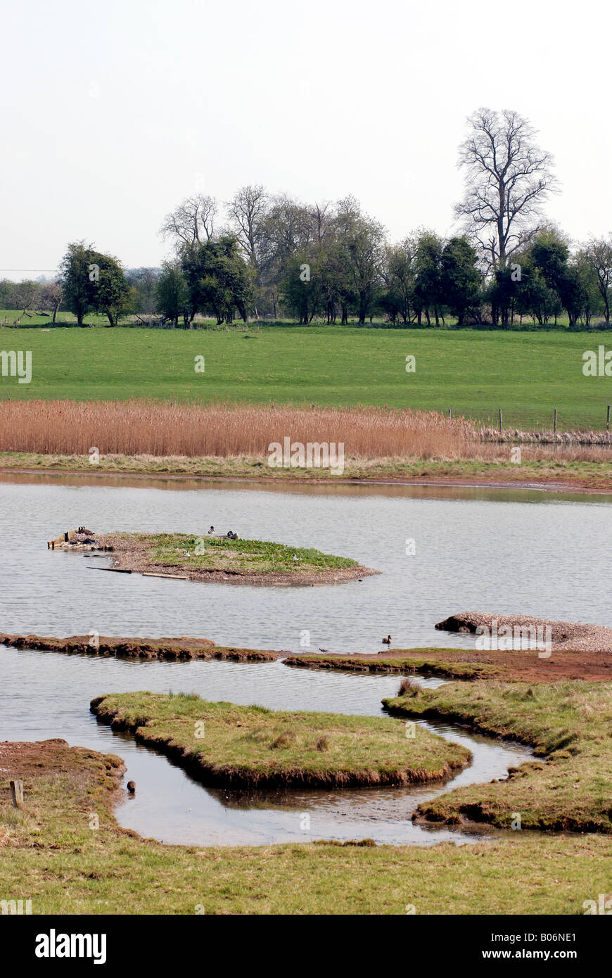 Upton warren nature reserve hi-res stock photography and images - Alamy