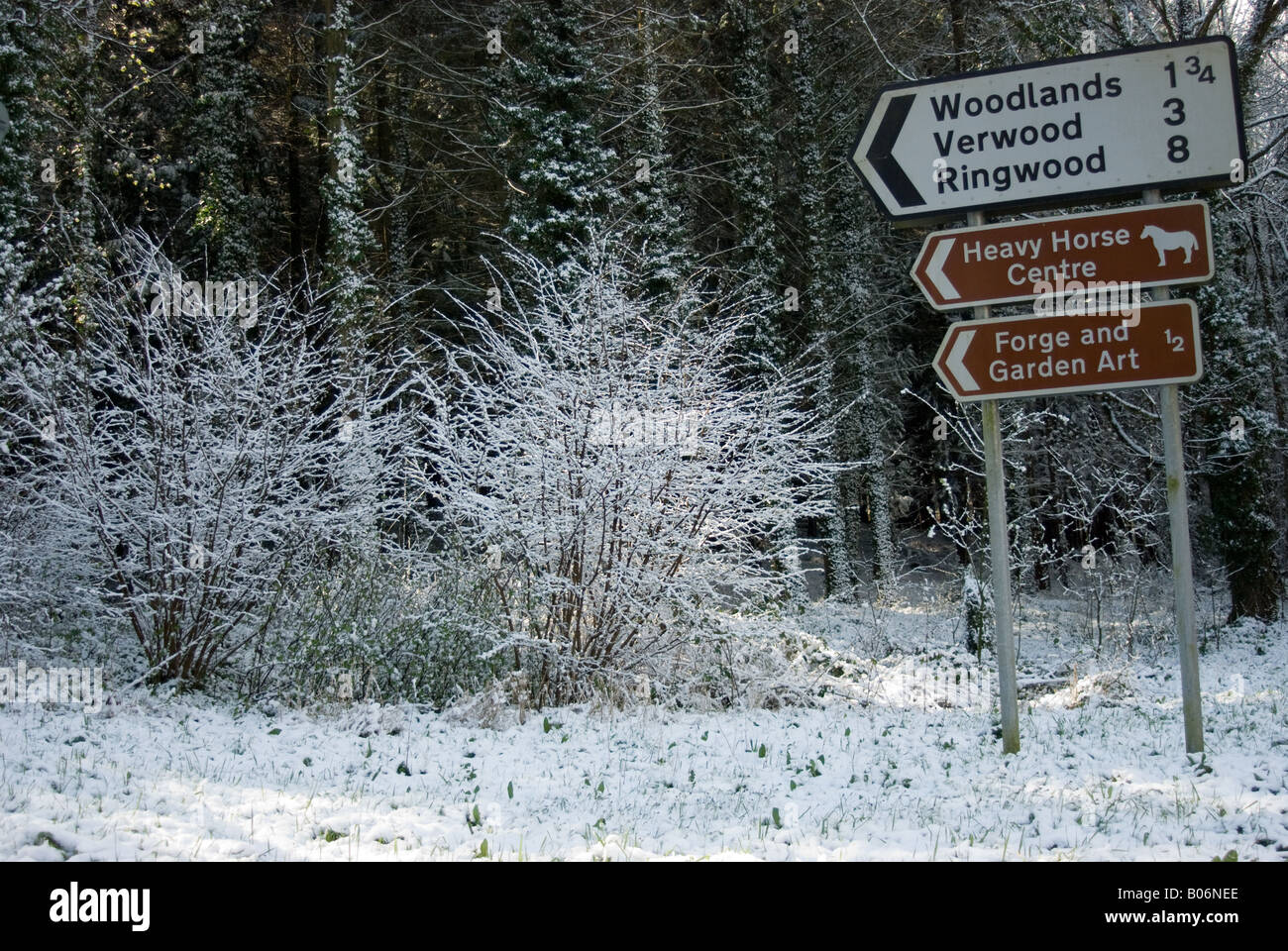 Roadsigns in the snow - New Forrest, Hampshire, England Stock Photo - Alamy