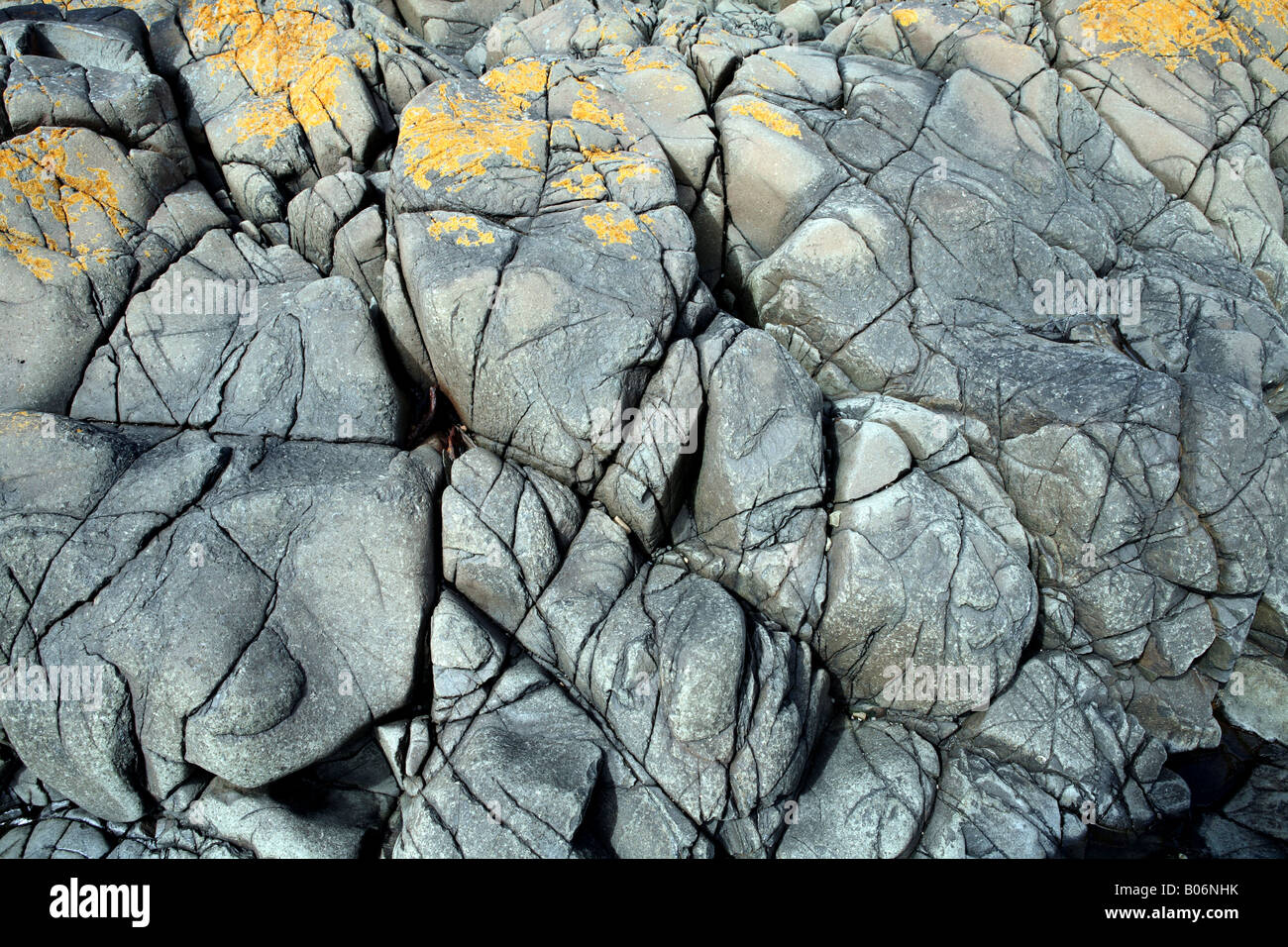 Shore rock detail, Holy Island Stock Photo - Alamy