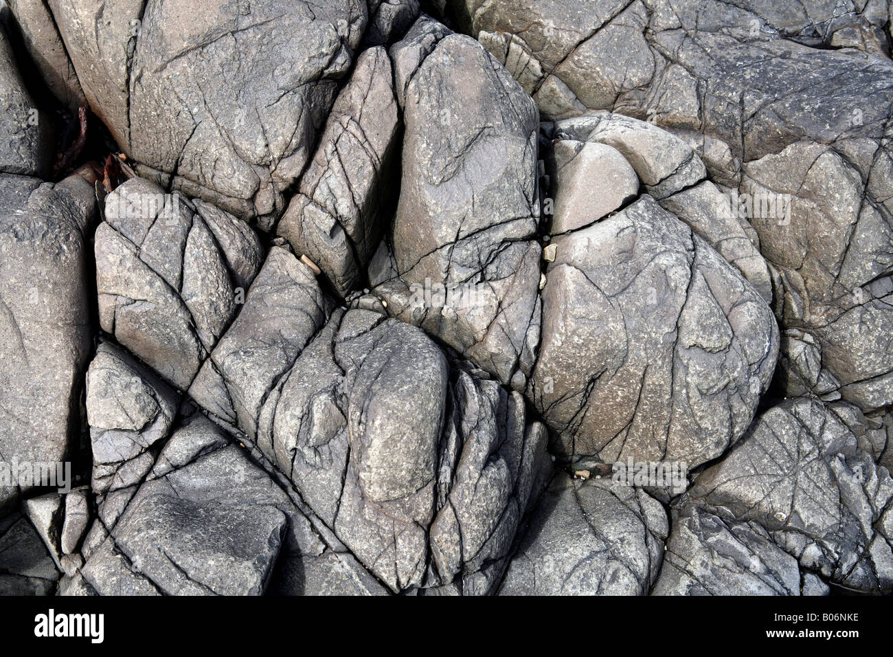 Shore rock detail, Holy Island Stock Photo - Alamy