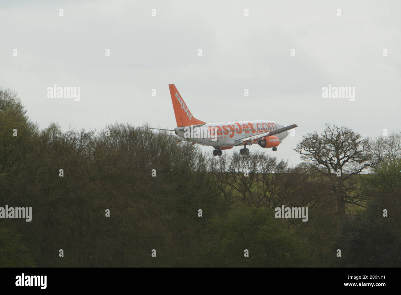 Skimming trees hi-res stock photography and images - Alamy