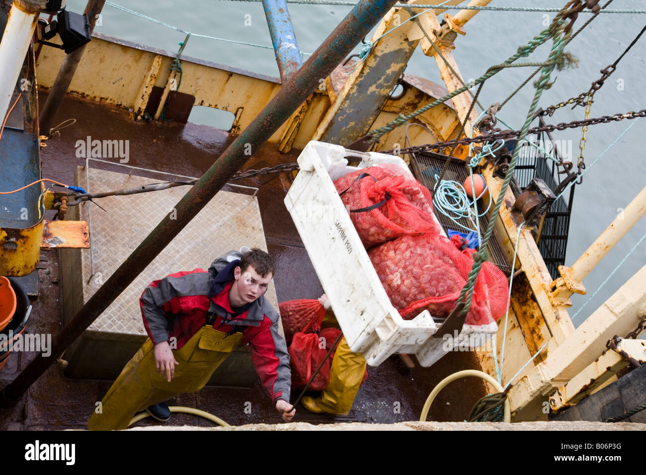 Young fishermen help unload the day's catch of shellfish in Camber Dock ...