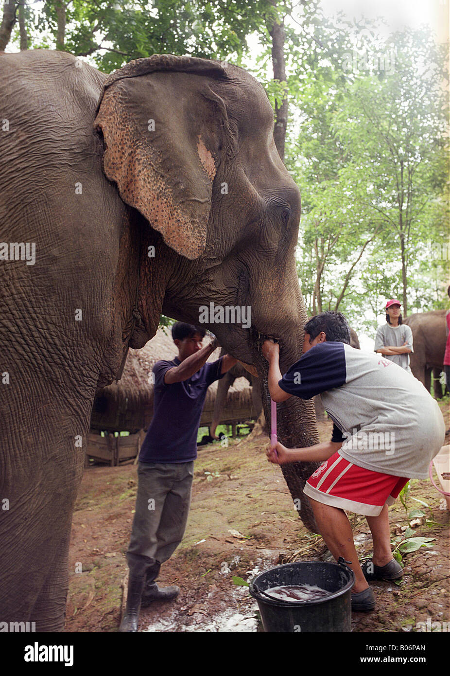Treating wounds hi-res stock photography and images - Alamy