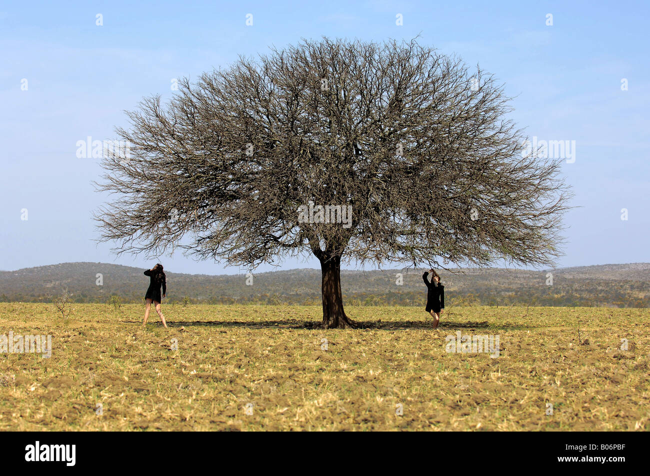 two girls dressed of black next to an old tree Stock Photo - Alamy