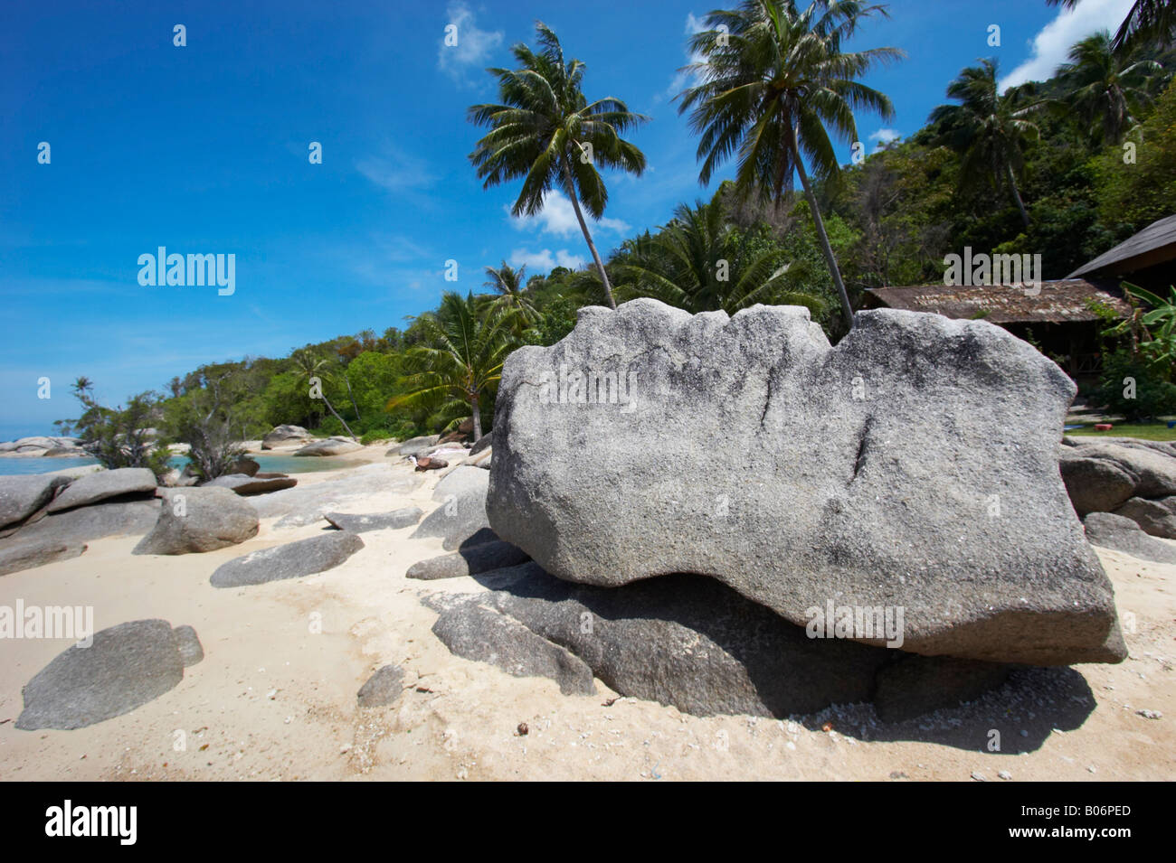 Huge rock on tropical beach palms on background Stock Photo - Alamy