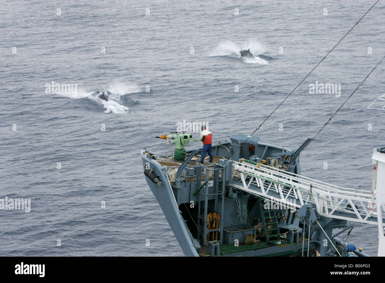 Japanese whalers whaling hi-res stock photography and images - Alamy