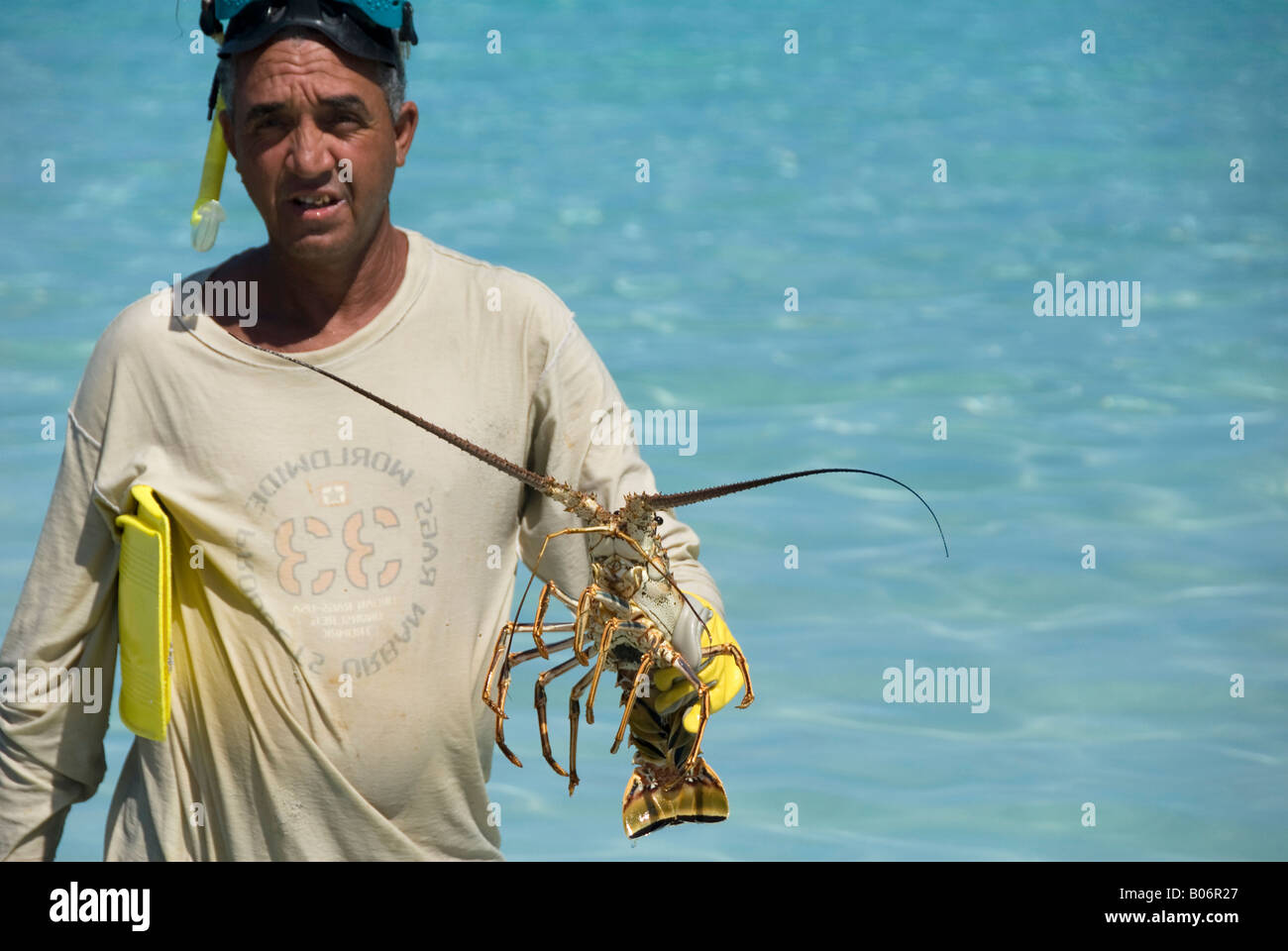 a man holding a lobster Stock Photo - Alamy