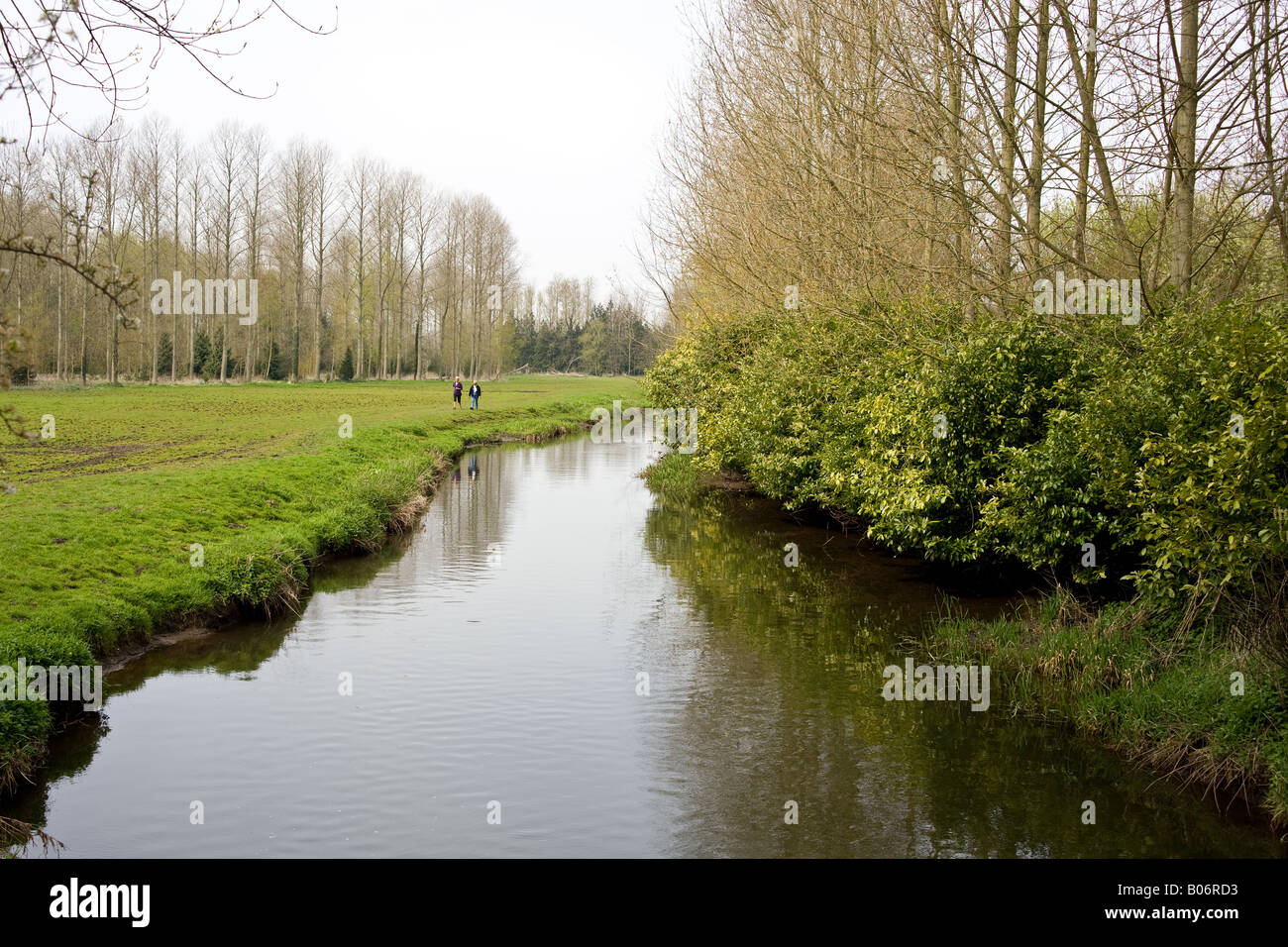 Long calm country walks through the Norfolk Broads, UK Stock Photo - Alamy