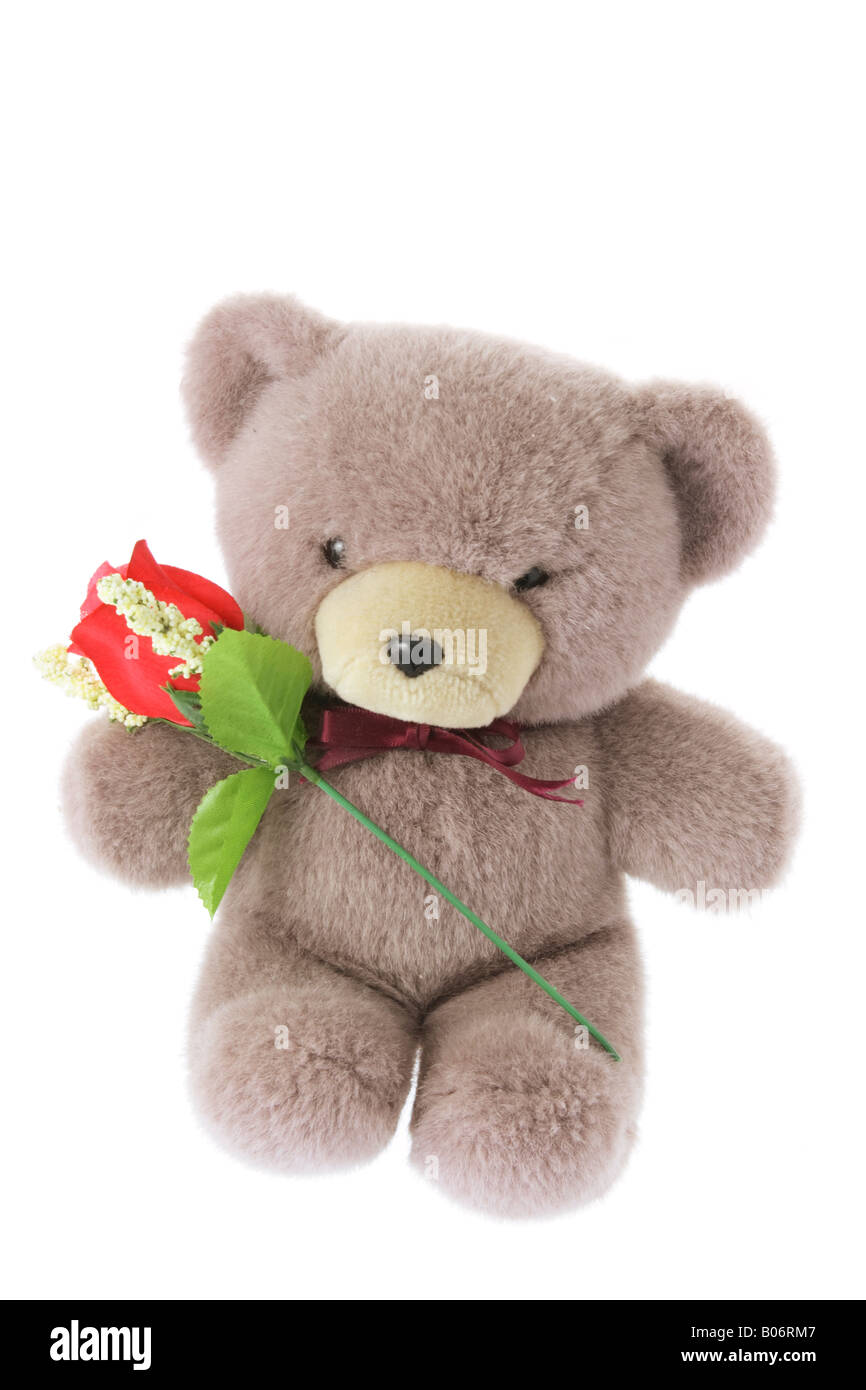 Teddy Bear with Red Rose Stock Photo - Alamy