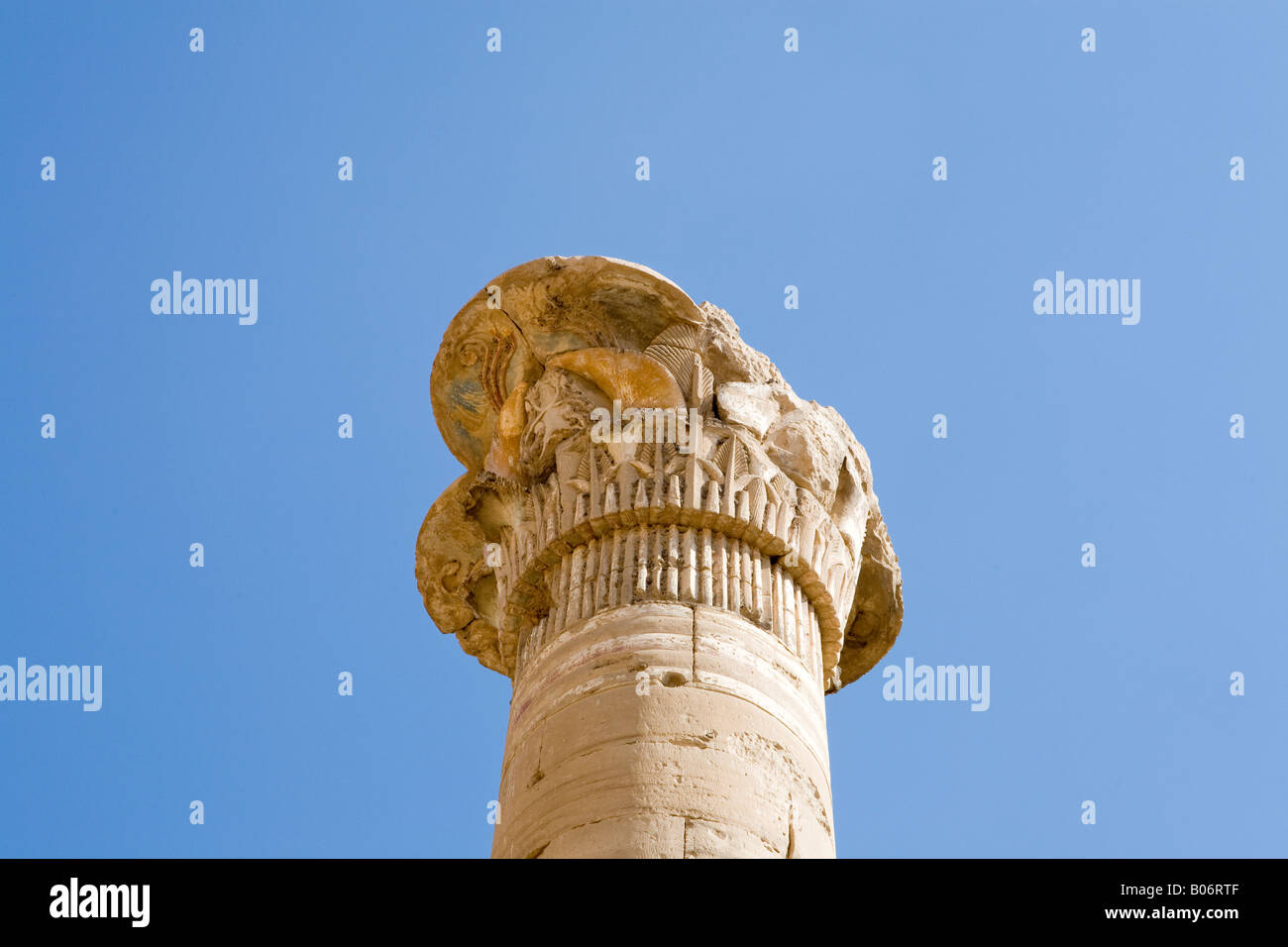 Lotus column at temple of luxor hi-res stock photography and images - Alamy