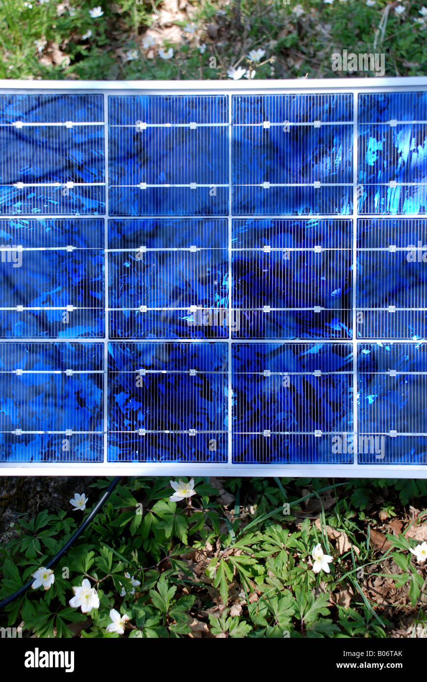 Solar panel in nature Stock Photo - Alamy