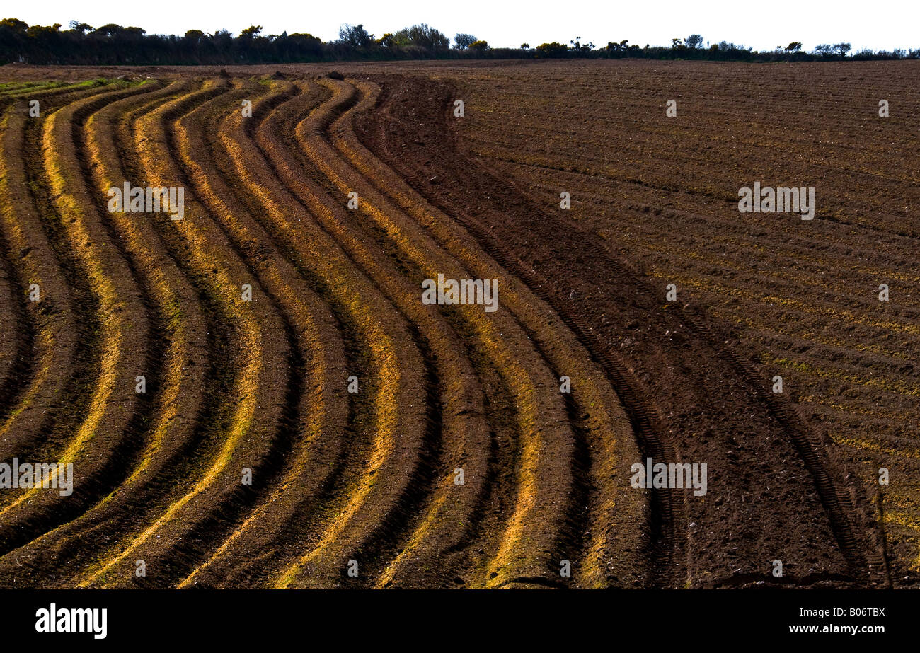 Furrows soil hi-res stock photography and images - Alamy