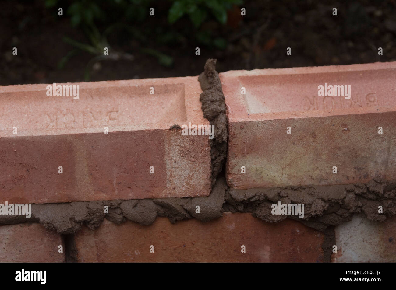DIY How to build a brick wall Stock Photo - Alamy