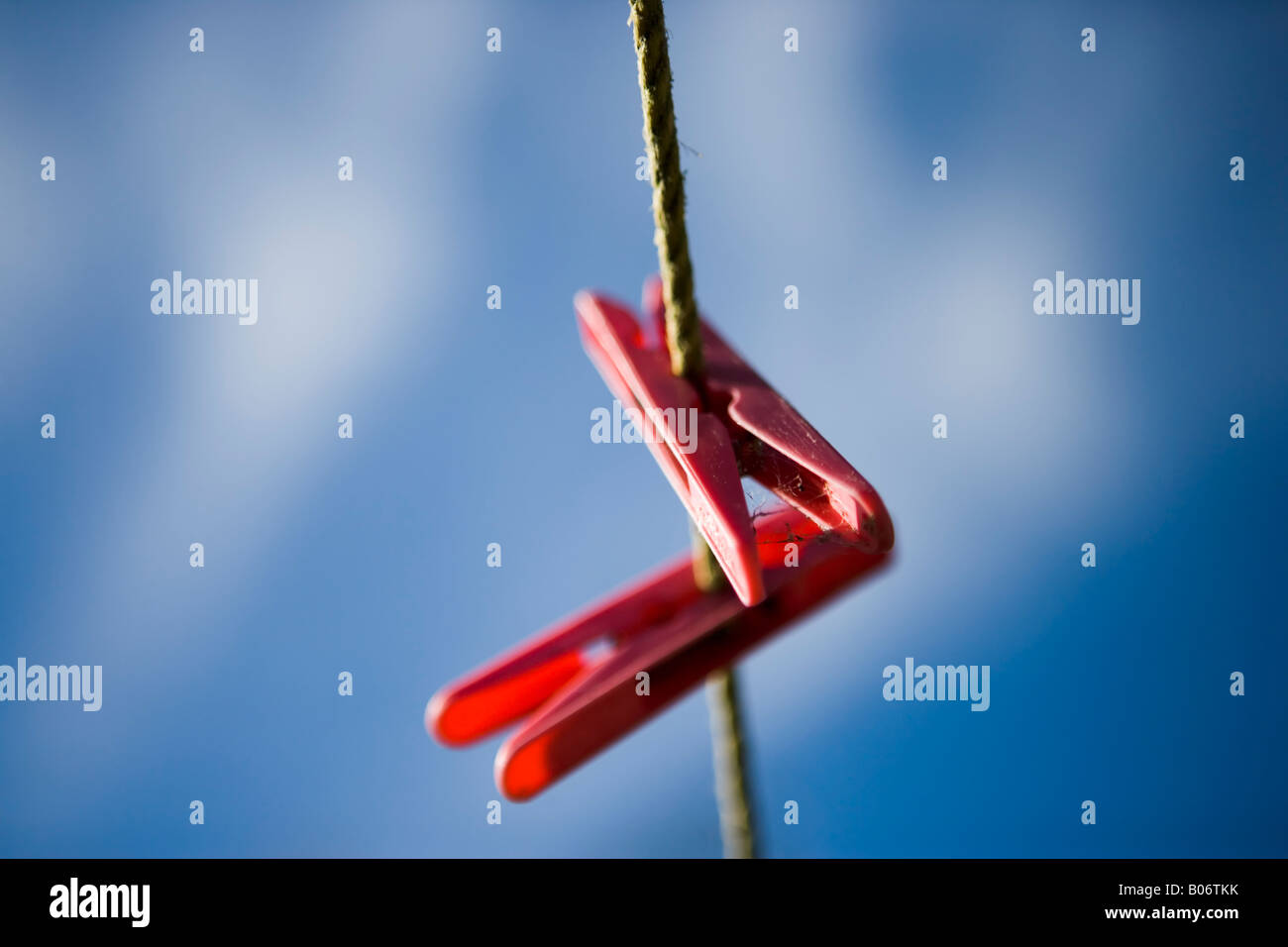 Clothes pegs and washing line against a blue sky Pink plastic pegs ...