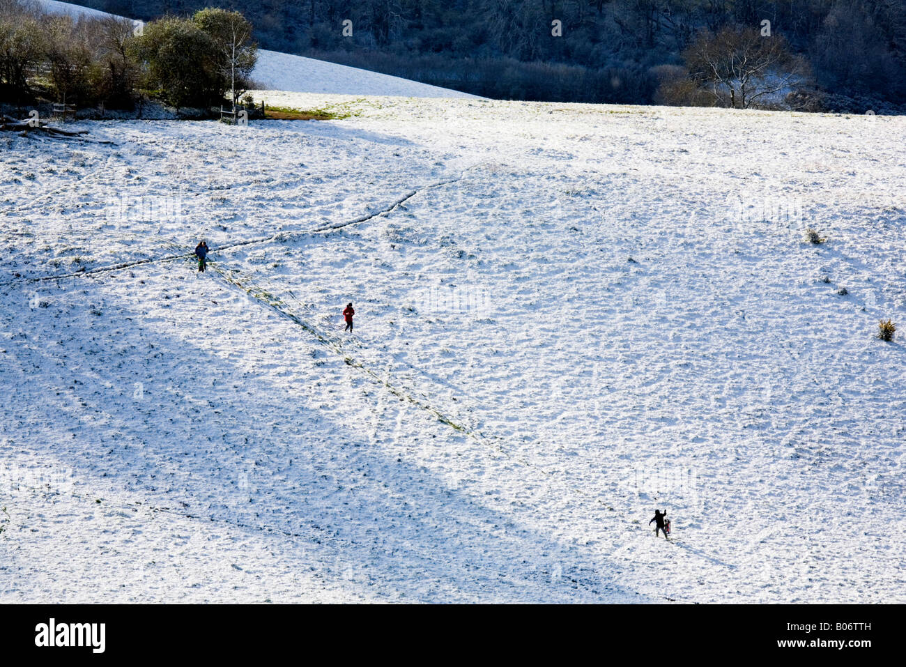 Playing in the snow near Ham Hill country park in South Somerset Stock ...