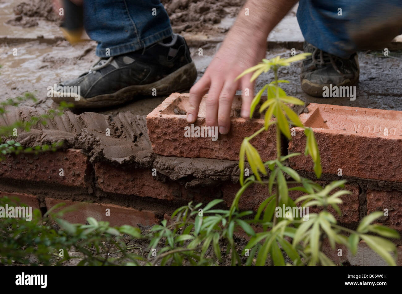 DIY How to build a brick wall Stock Photo - Alamy
