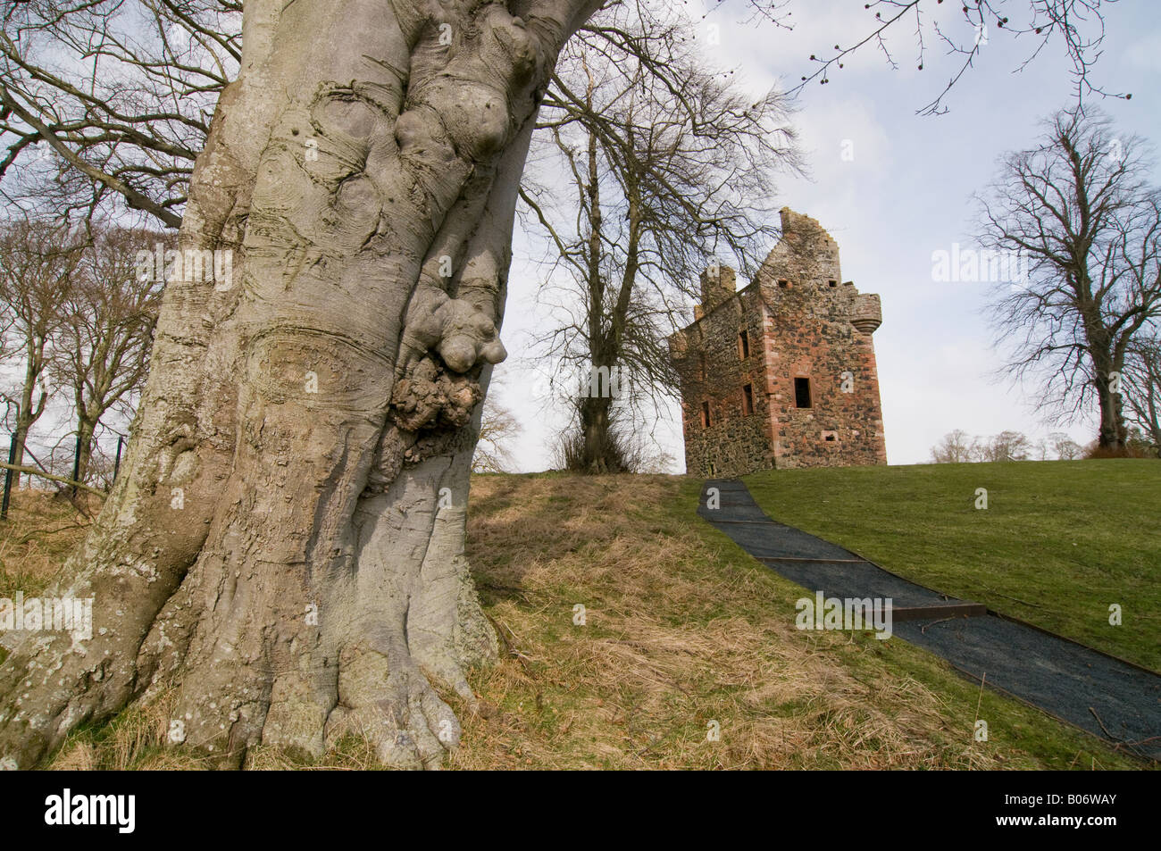 Edmonstone family hi-res stock photography and images - Alamy