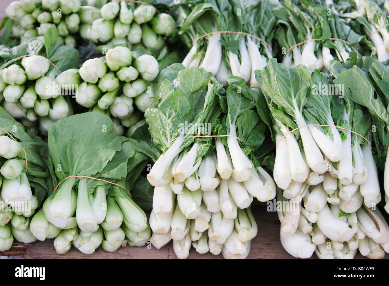 Green Vegetables At Market, Kota Kinabalu, Sabah, Malaysian Borneo ...