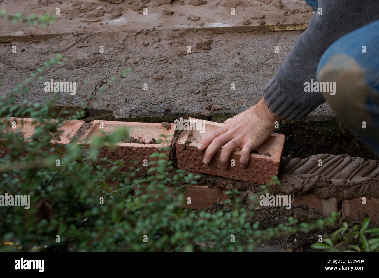 DIY How to build a brick wall Stock Photo - Alamy