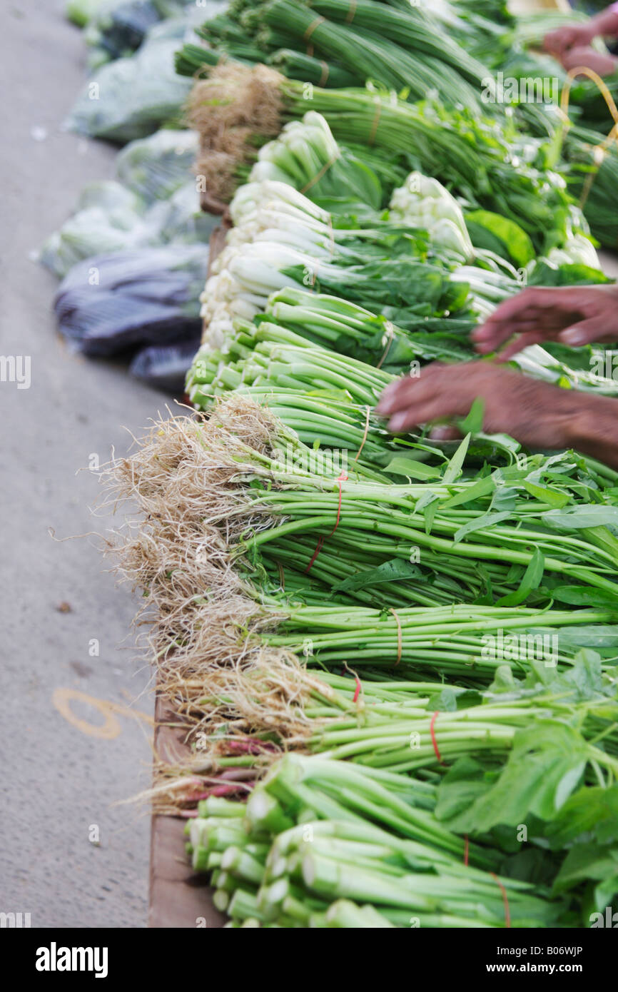 Green Vegetables At Market ,Kota Kinabalu, Sabah, Malaysian Borneo ...
