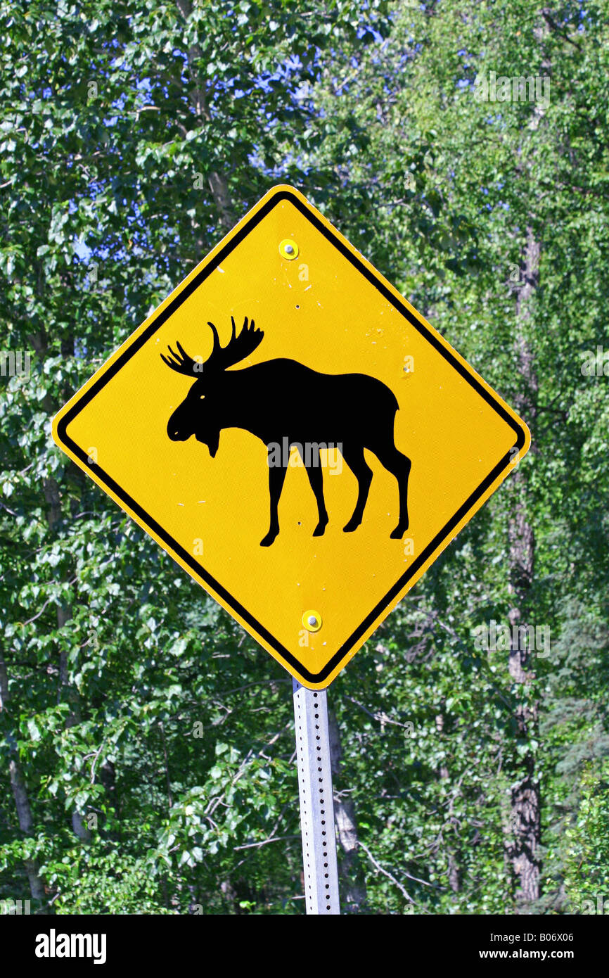 Moose Crossing Sign Stock Photo - Alamy