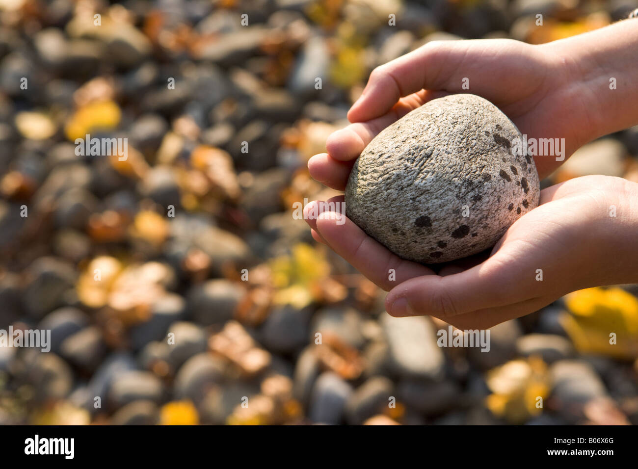 Stone in the hands of children Stock Photo - Alamy