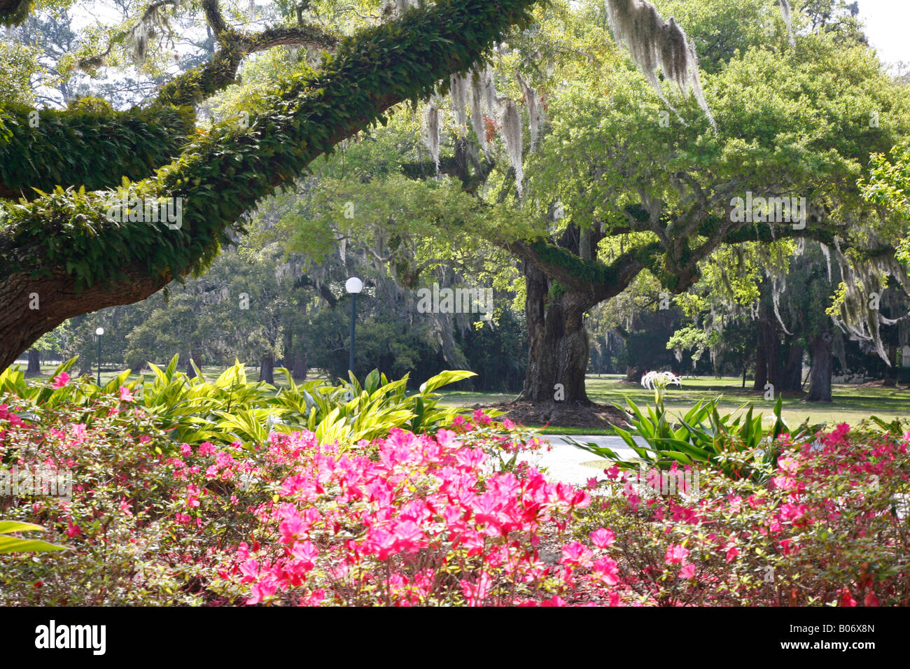 Historic Jekyll Island, Georgia Stock Photo - Alamy