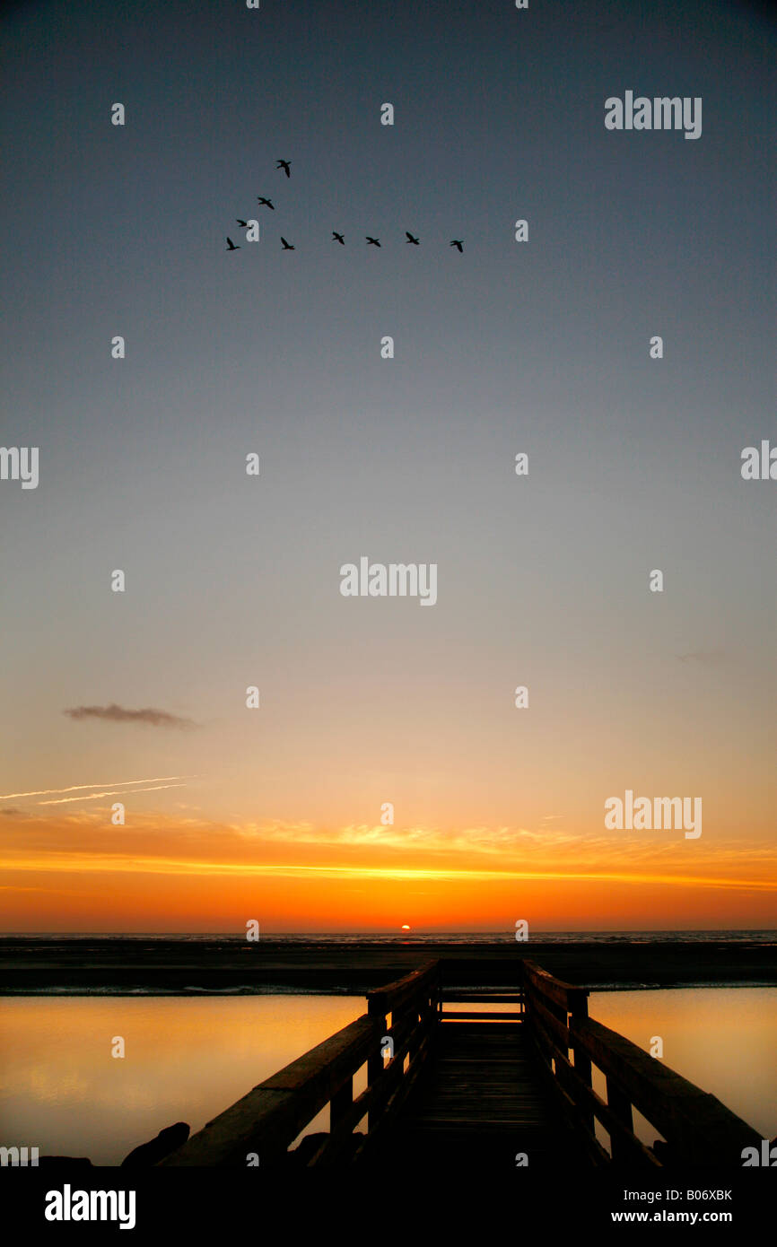 Sunrise over pier with migratory birds in flight, St. Simons Island ...