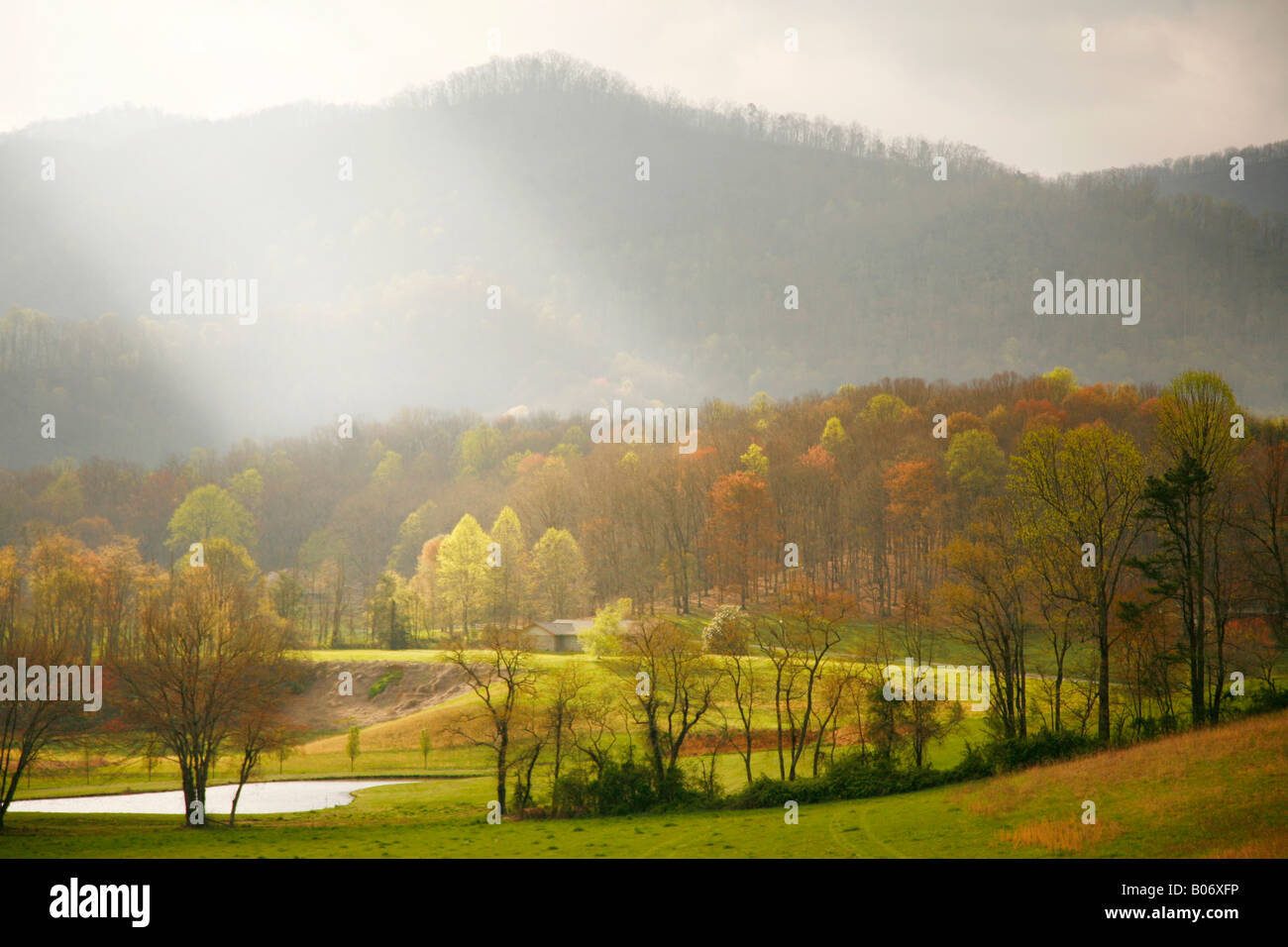 Grow appalachian hi-res stock photography and images - Alamy