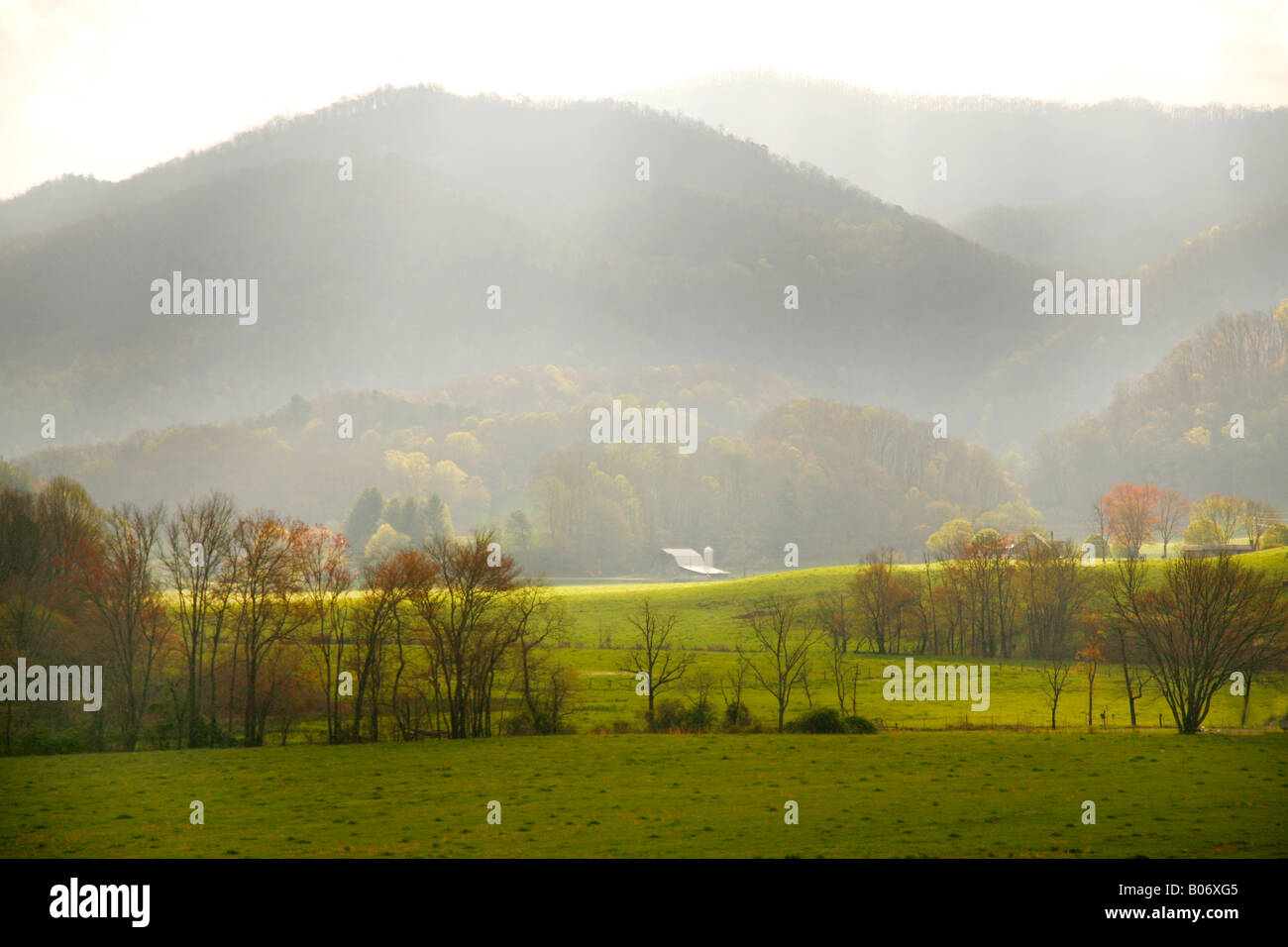 Grow appalachian hi-res stock photography and images - Alamy