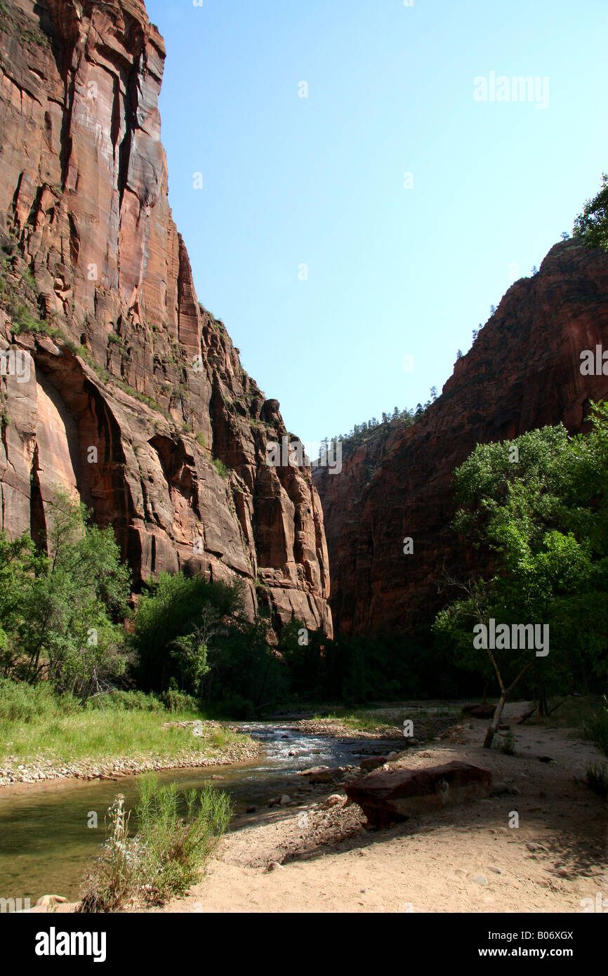 THE NARROWS, ZION NATIONAL PARK. UTAH. USA Stock Photo - Alamy