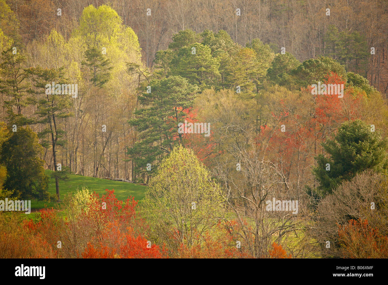 Pastoral spring scene in Western North Carolina near Franklin Stock ...