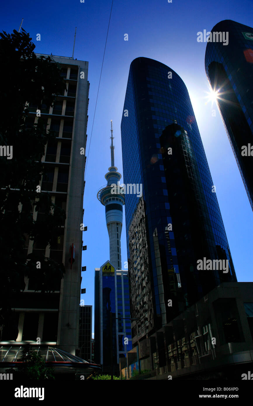 Sky City tower and high-rise buildings, downtown Auckland, New Zealand ...