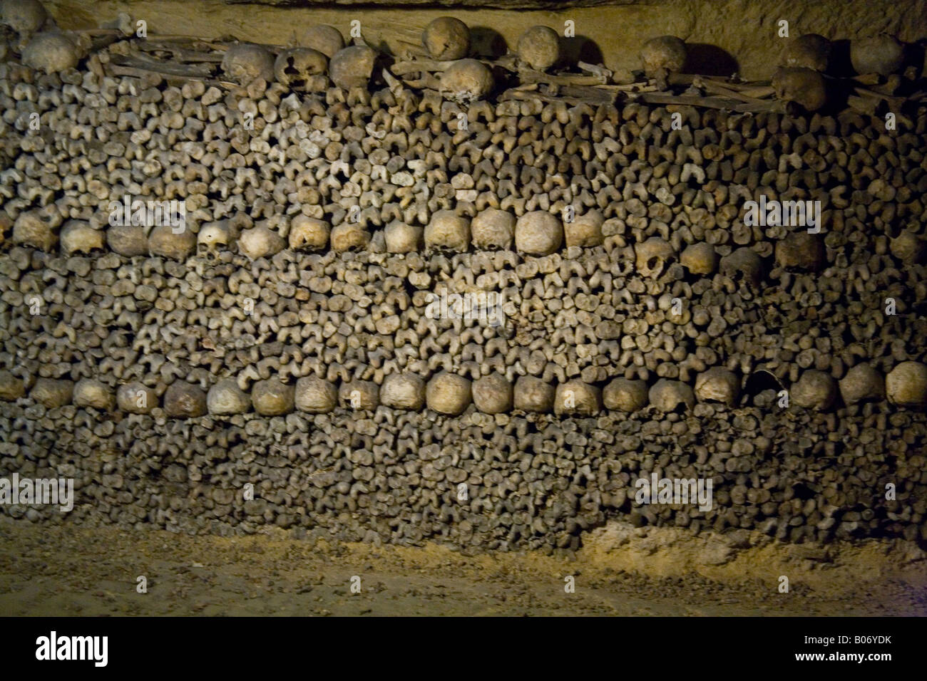 Human skulls and bones stacked in rows in the underground Catacombs ...