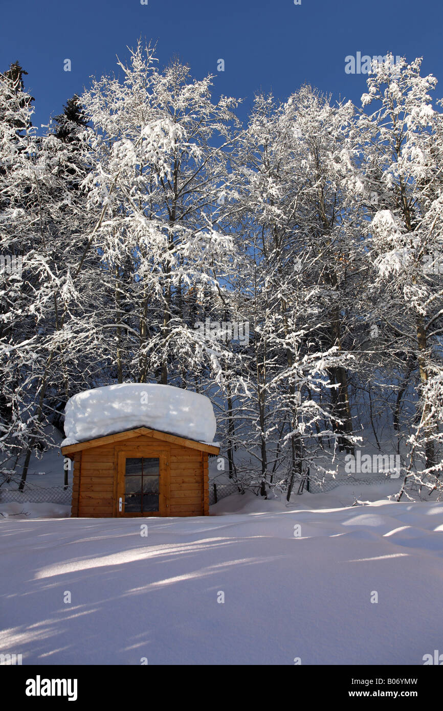 snow covered wooden hut in forest Stock Photo - Alamy